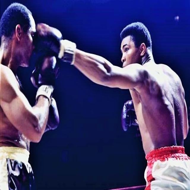 kick_and_punch_detection Object Detection Dataset by SRM