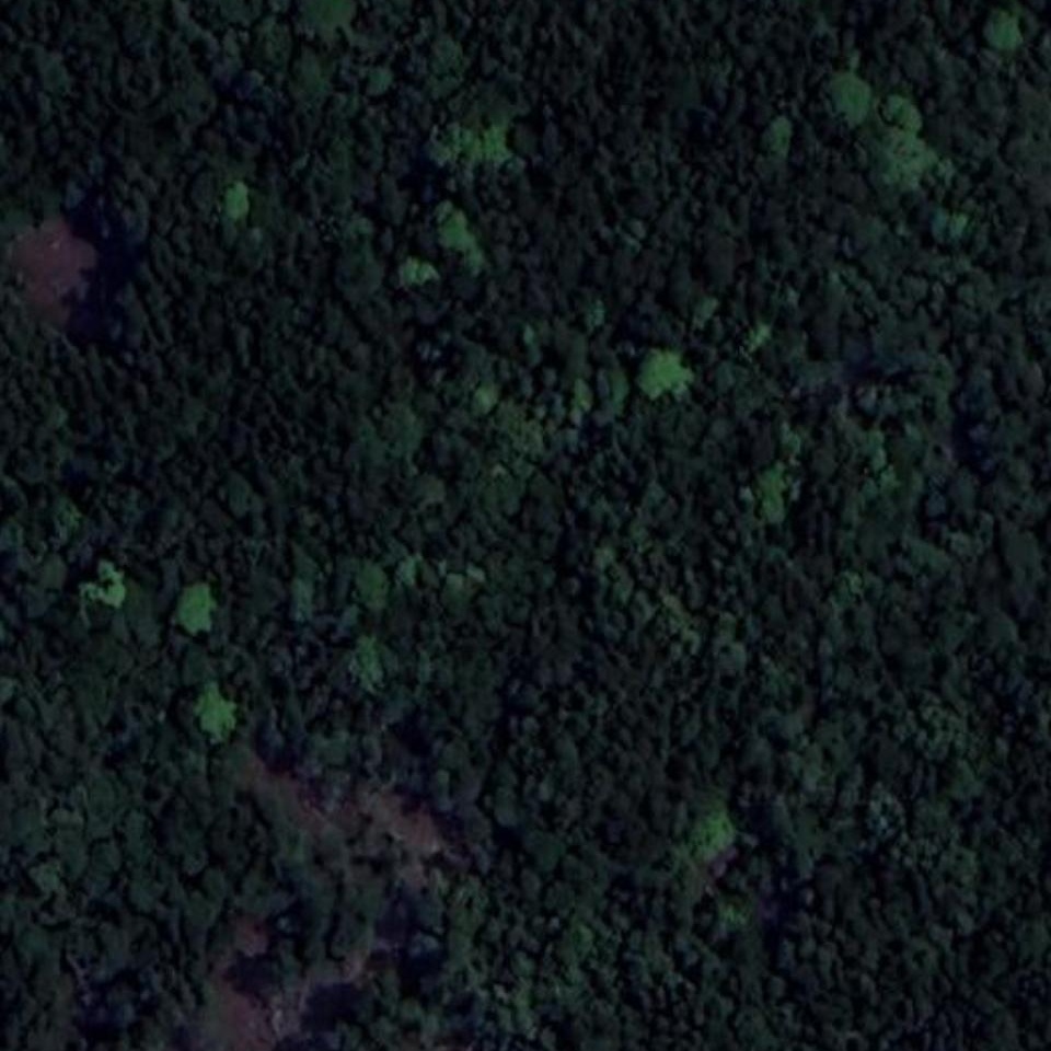 palm Object Detection Dataset by EiProjects