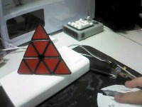 sheep (sheep-ykdwx) - Roboflow Universe