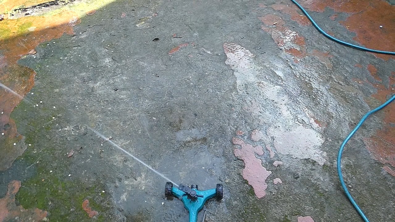 pluma de agua - Roboflow Universe