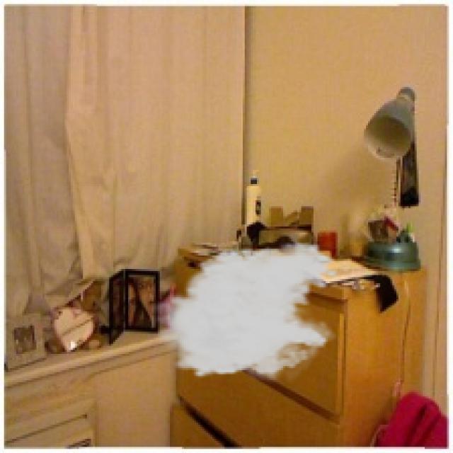 Vedanta Object Detection Dataset and Pre-Trained Model by Fire