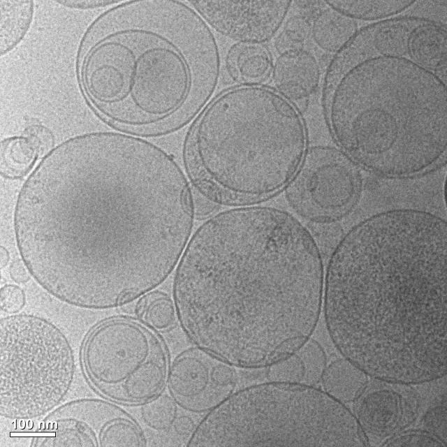 whh (whh-zrvf3) - Roboflow Universe