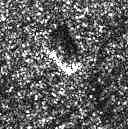 new-workspace-fa16b - Roboflow Universe