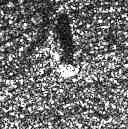 BRDM-2_15 Object Detection Dataset by new-workspace-fa16b