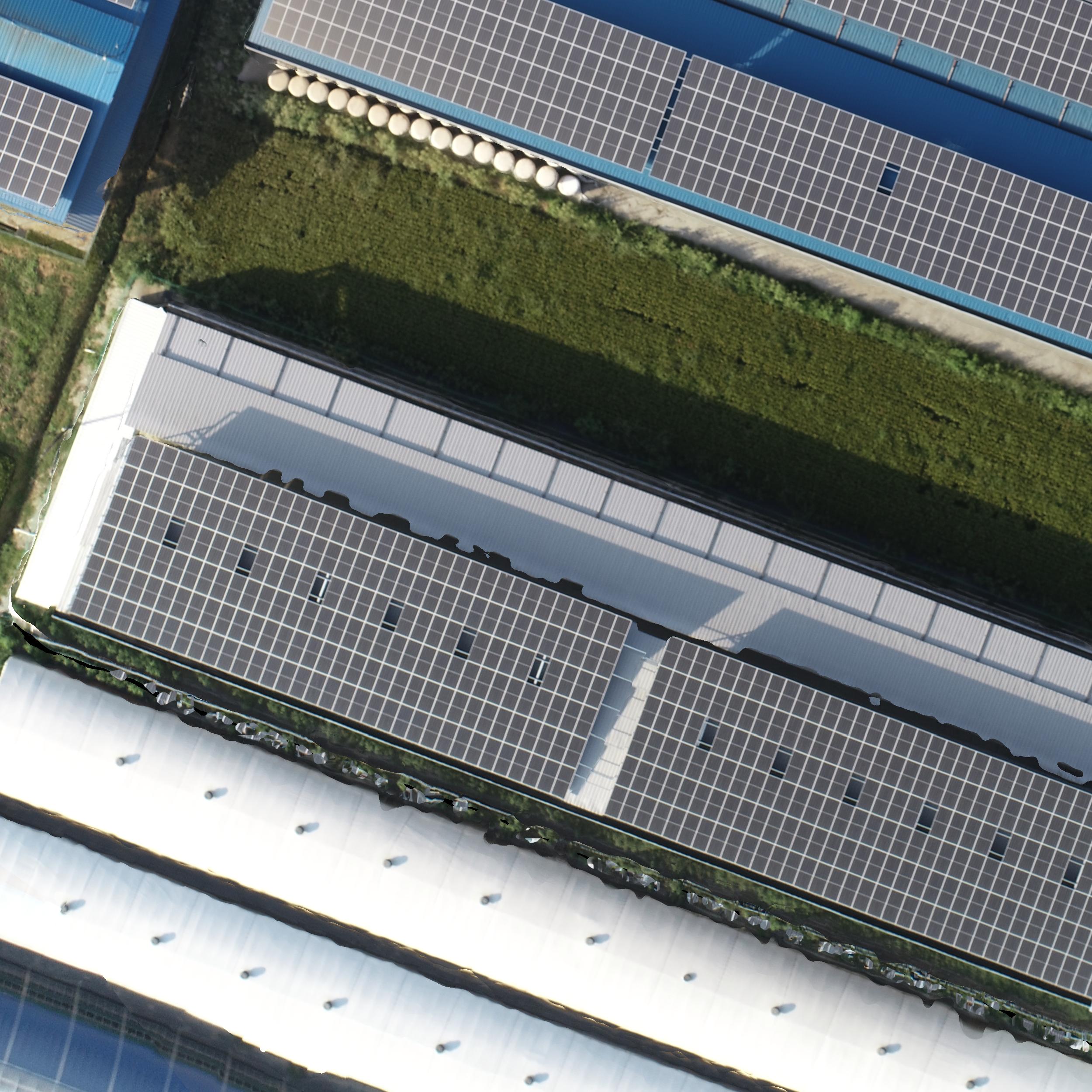 My First Project Instance Segmentation Dataset by mm