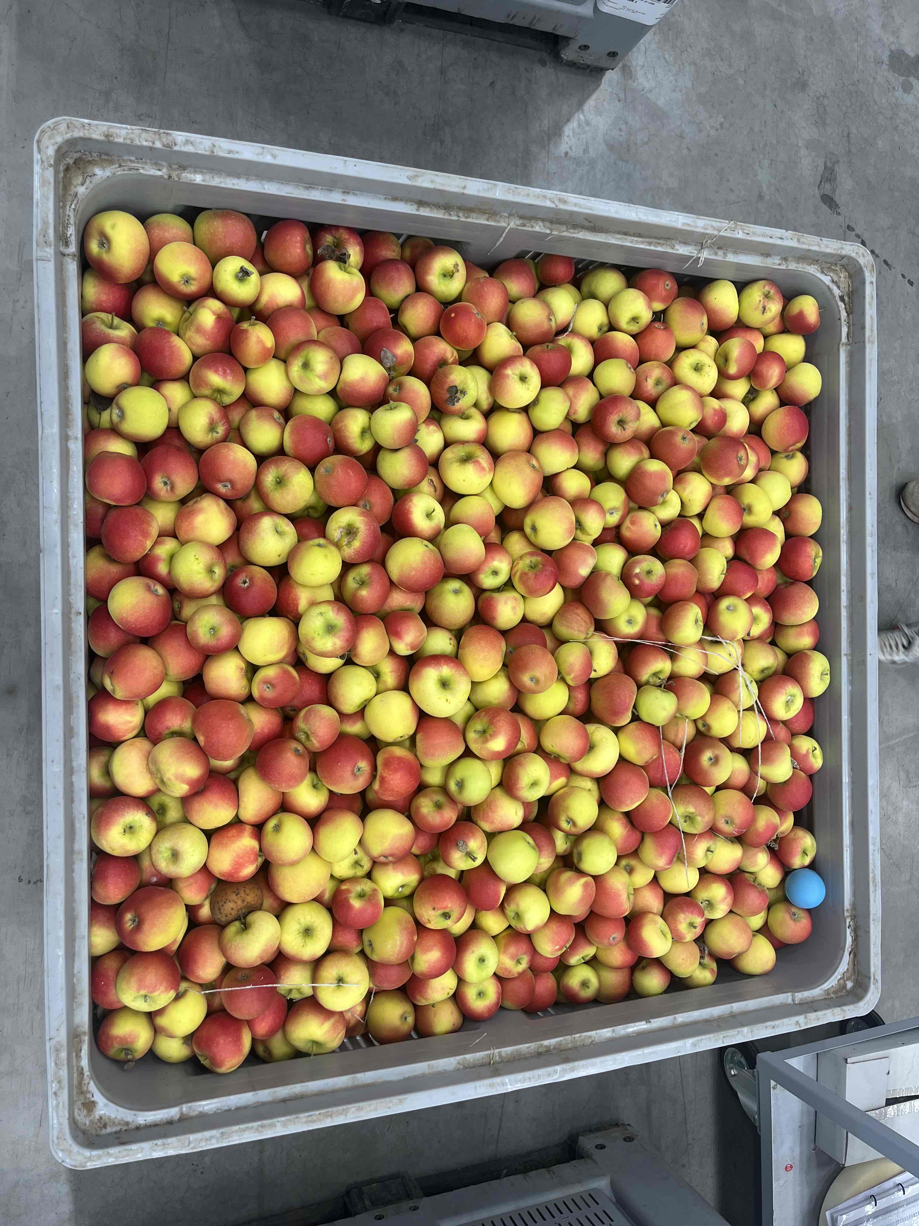 accept_reject Classification Model by labeling