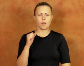 sign languages 2 Keypoint Detection Dataset by AMYN