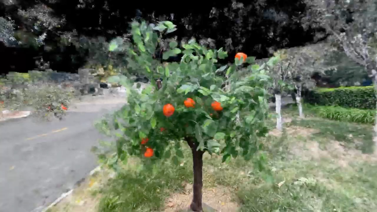 tree Object Detection Dataset by U