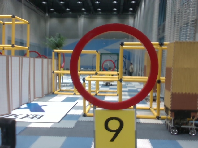 ruma-ring Instance Segmentation Dataset and Pre-Trained Model by whu rirs