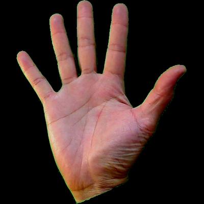 Numbers Sign Language Object Detection Dataset by SAUDU