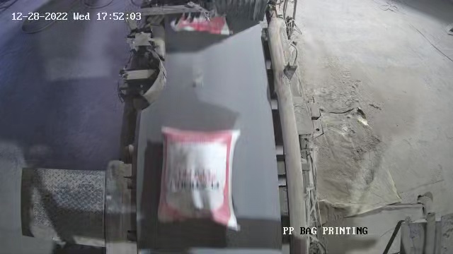 Bags Detection Object Detection Dataset By Deepakproj