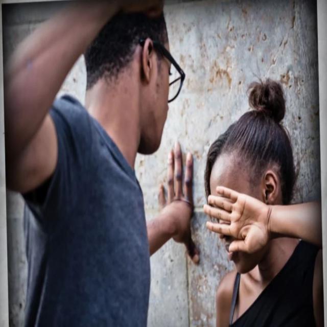 Women Safety3 Object Detection Dataset V2 Women Safety 3 Version 2 By Cctv Project