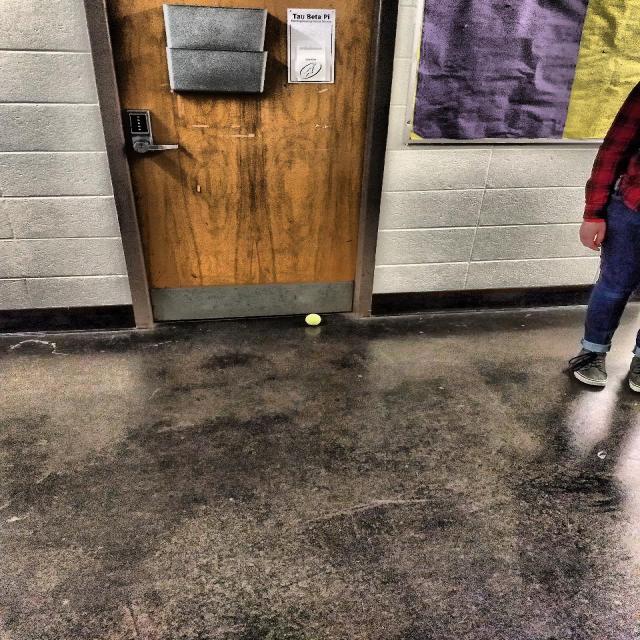 Tennis Ball Detection Object Detection Dataset By Monash University