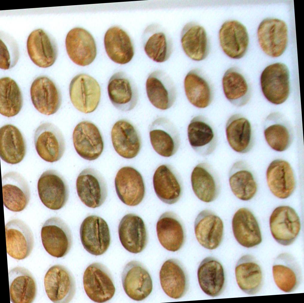 black_beans_aayushman Object Detection Dataset by madan