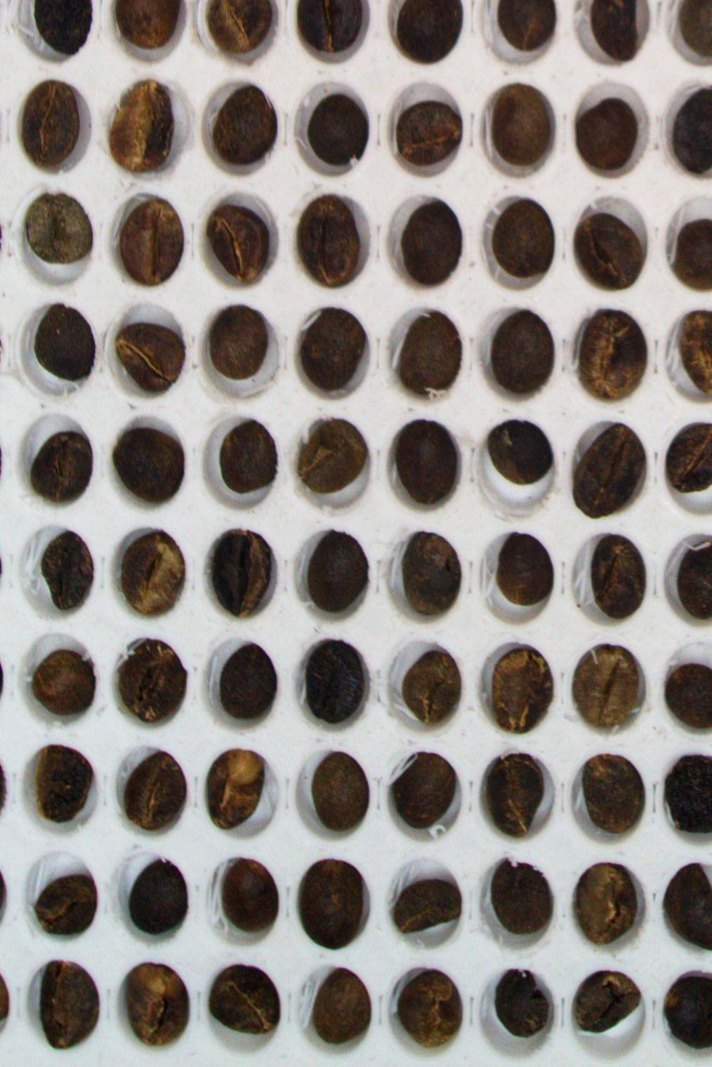 madans_personal Object Detection Model by madan