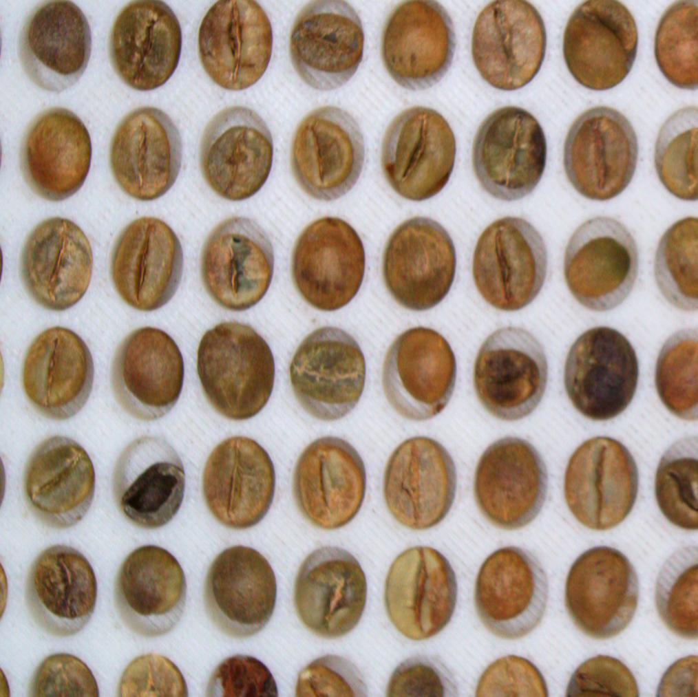 madan (madan-vhs79) - Roboflow Universe