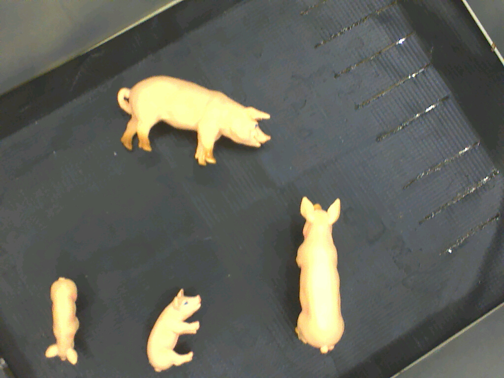 PIG_V3.0 Object Detection Dataset by pig home