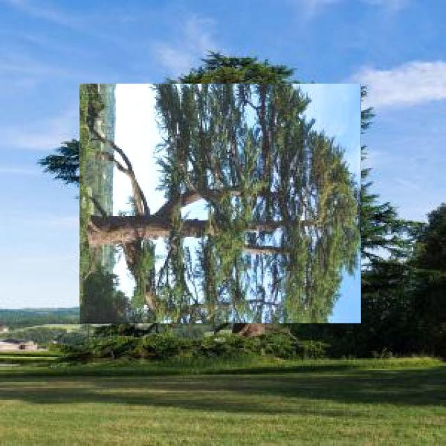Objects Object Detection Dataset By Object 6000