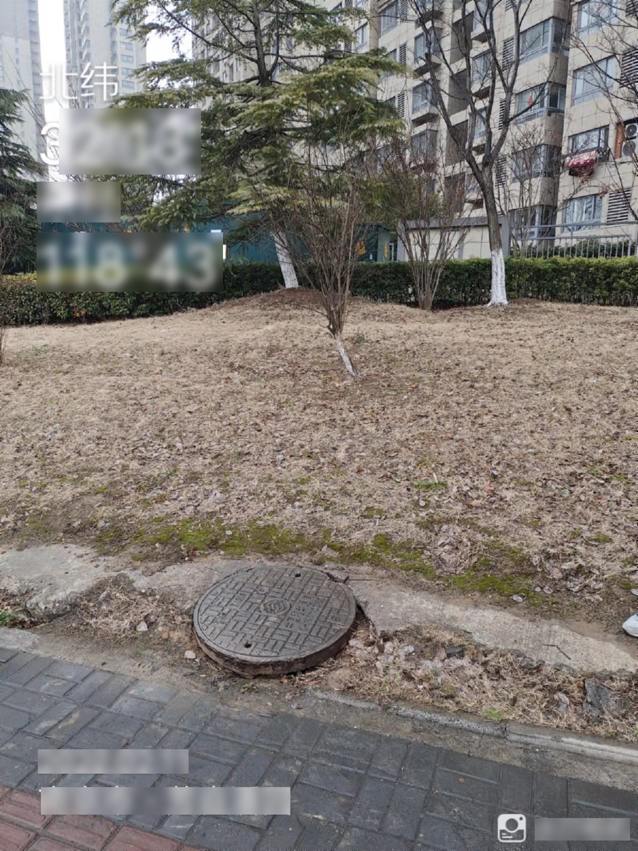 123 Object Detection Dataset By Detection
