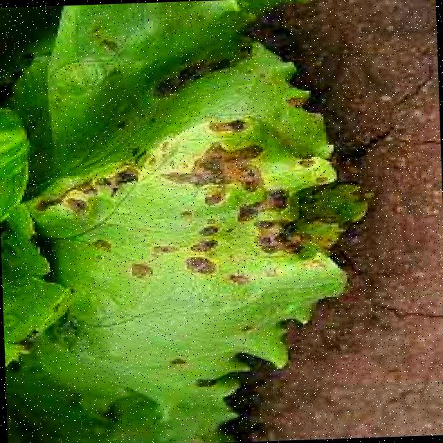 Tomato Object Detection Model By Disease Detection