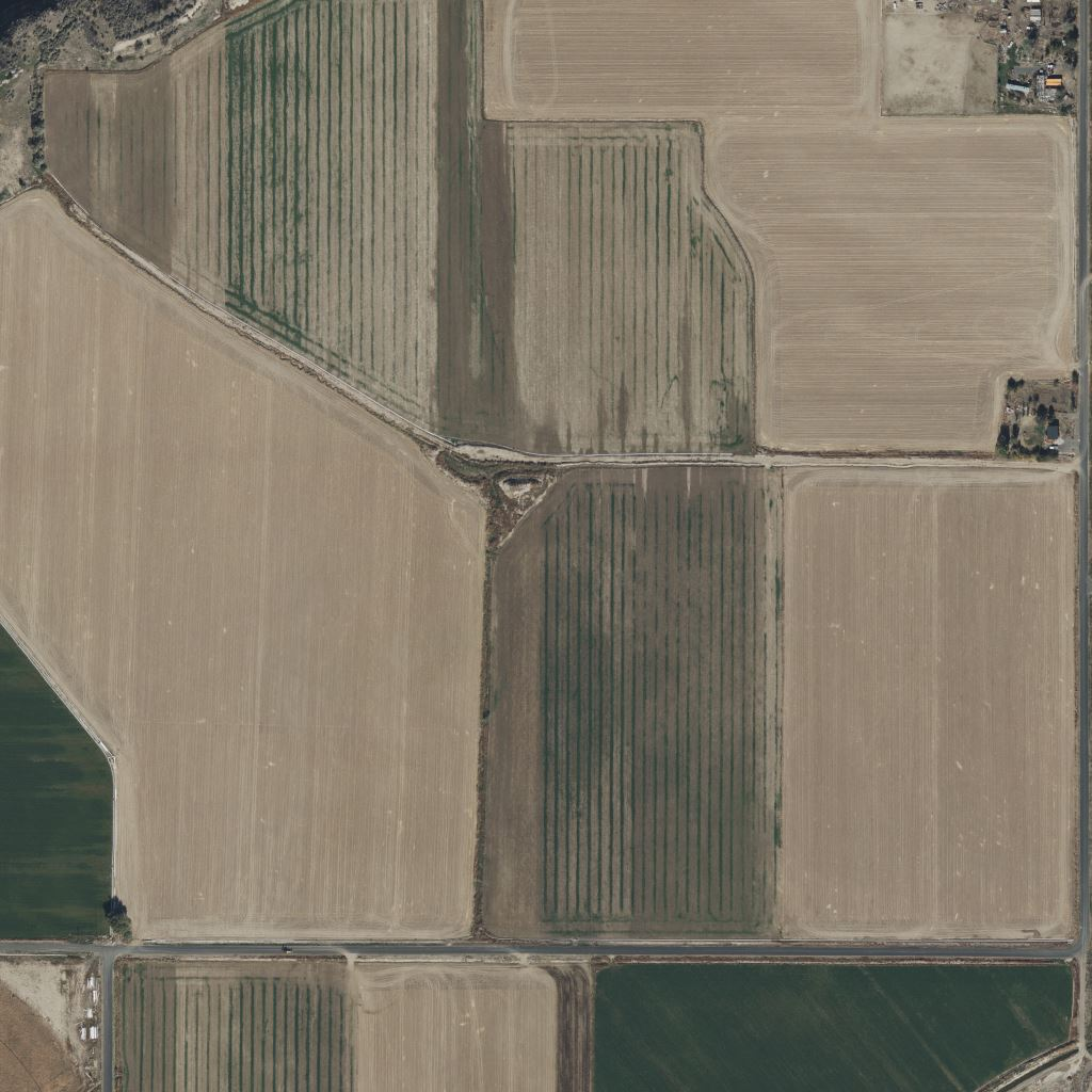 Crop Fields LOD 13-14-15 Instance Segmentation Dataset by CropFields