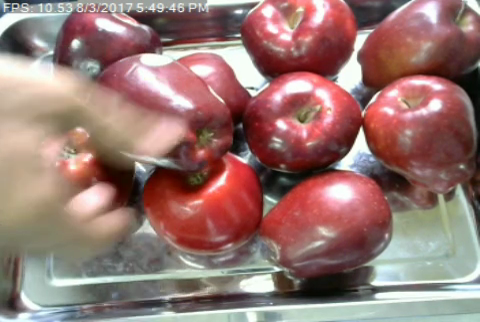 Apple Object Detection Dataset and Pre-Trained Model by project-irm0x