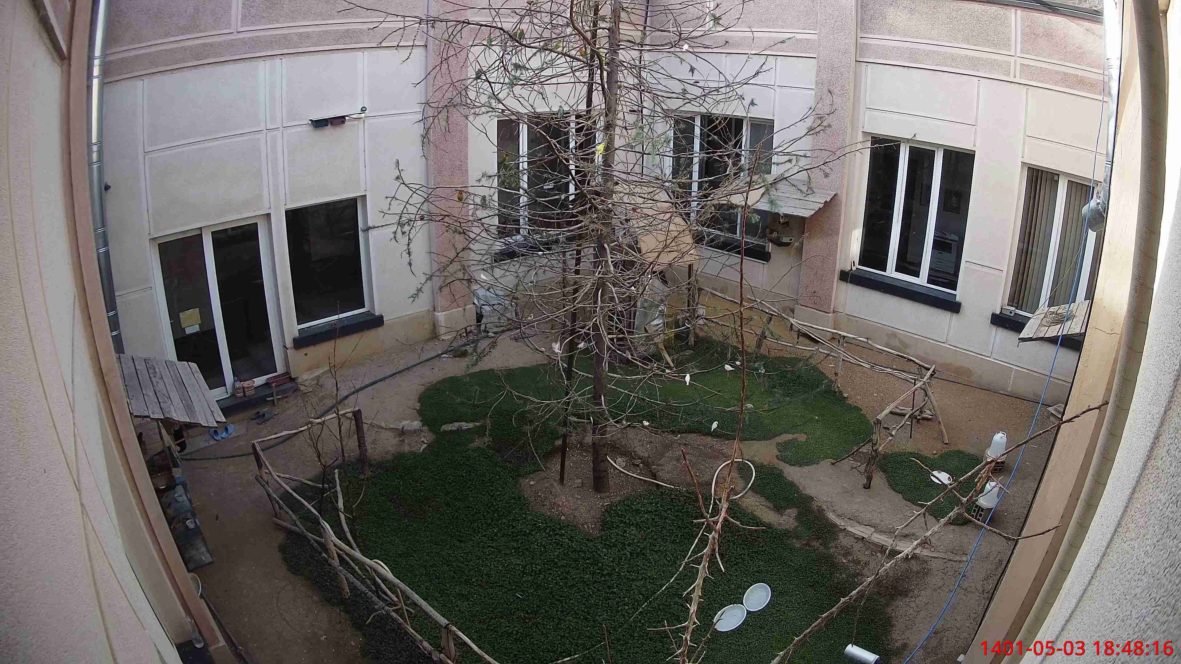 2 5 1 Bird Object Detection Dataset By Video Object Detection