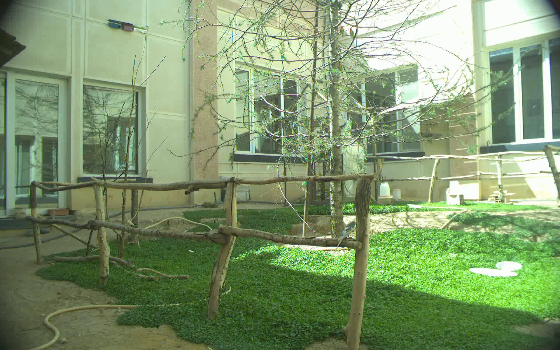 First Object Detection Dataset By Video Object Detection