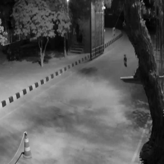 Object Detection Object Detection Dataset By Safecampus