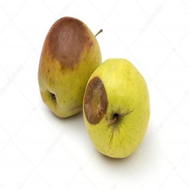 Rotten Apple Detection 2 Object Detection Dataset And Pre Trained Model