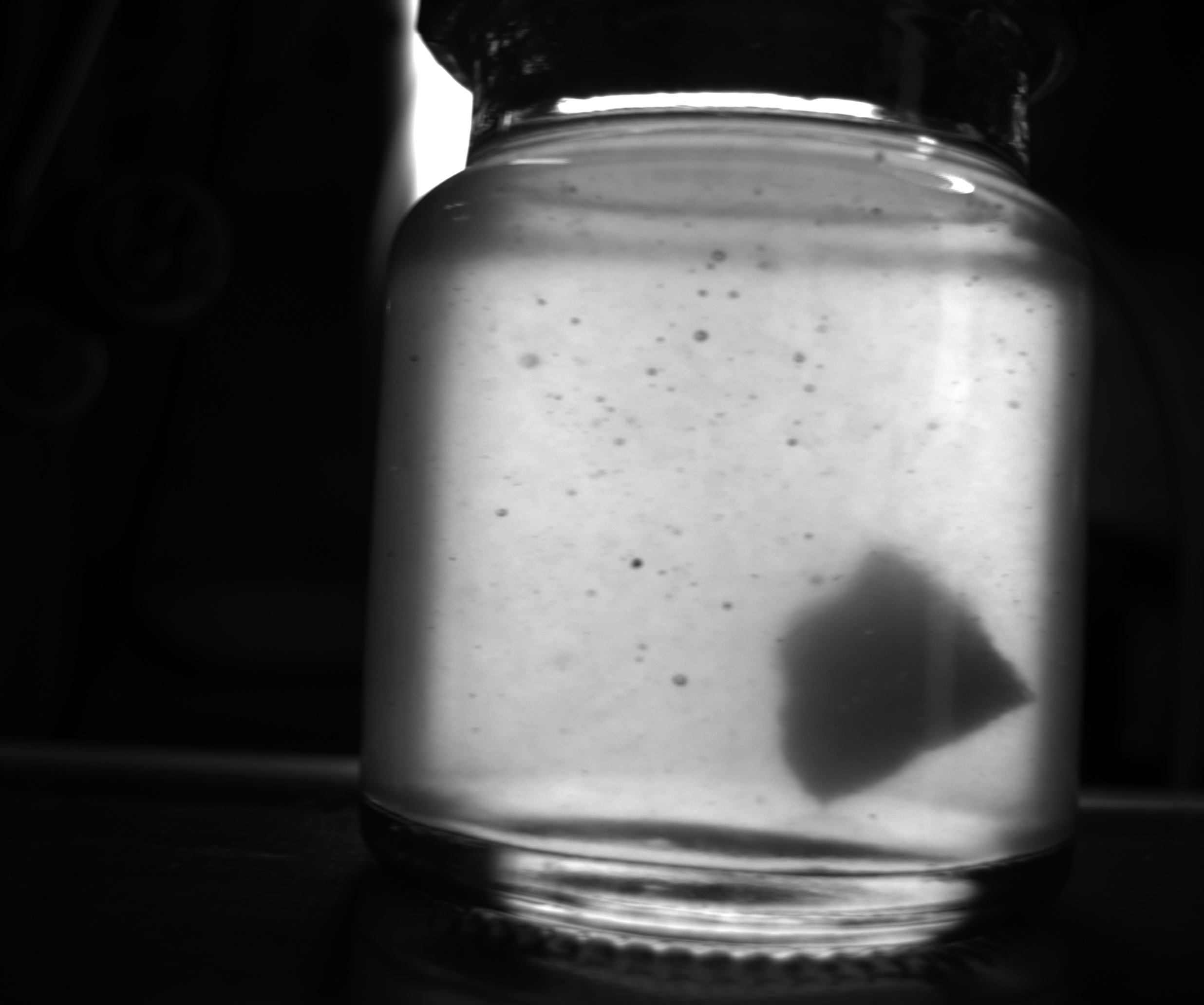 raw Object Detection Model by IOTmind