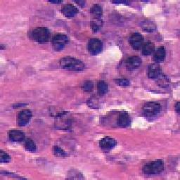 11 Object Detection Dataset by bitirme