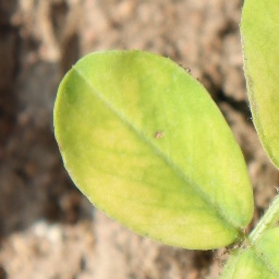 Demo Code - Roboflow Universe