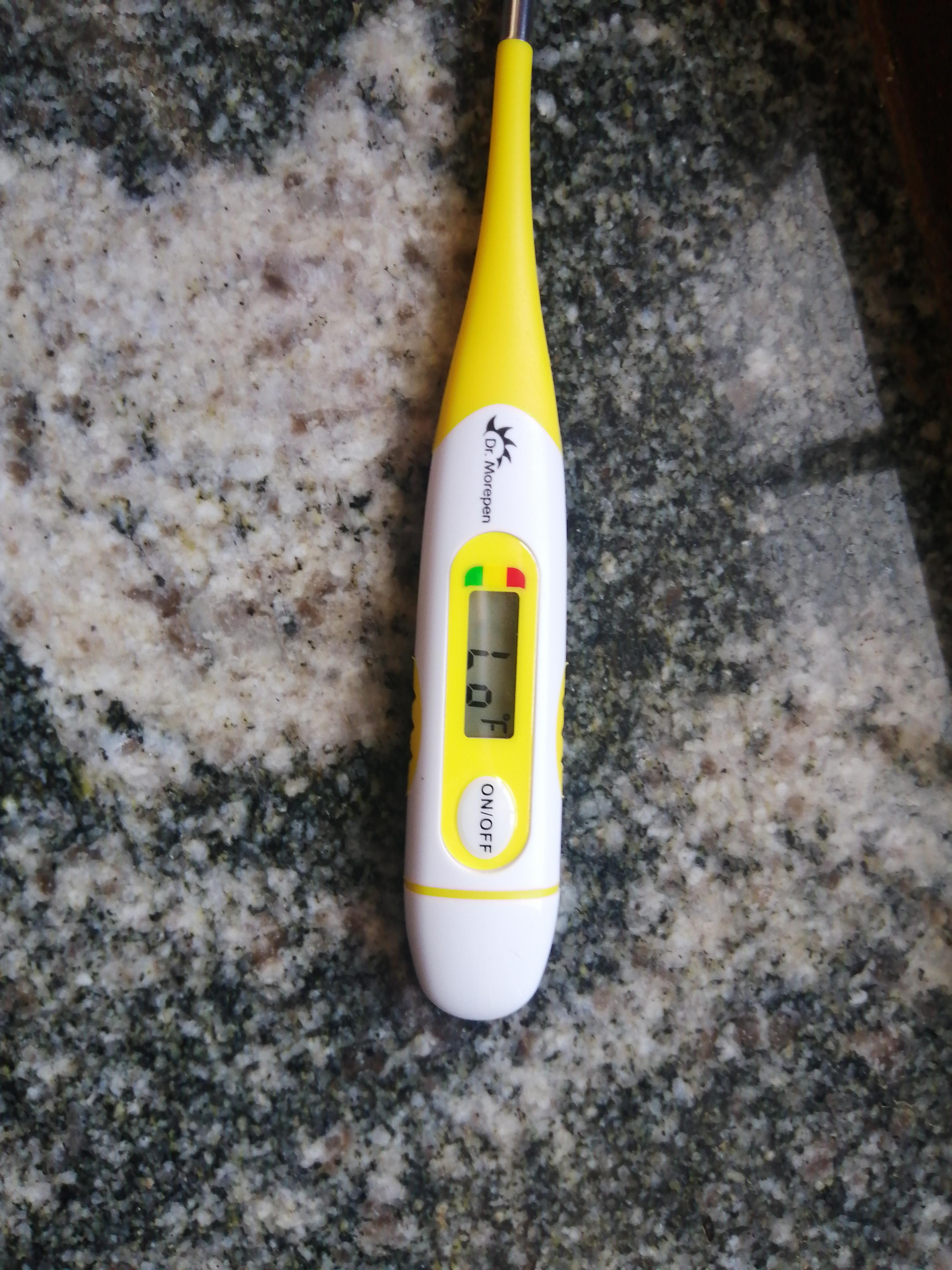 Call-in-sick Object Detection Dataset and Pre-Trained Model by Yolov8