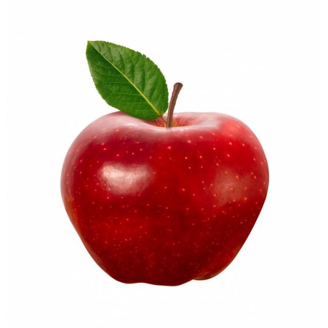 How To Use The Detect And Classify Single Label Classification Classification Api