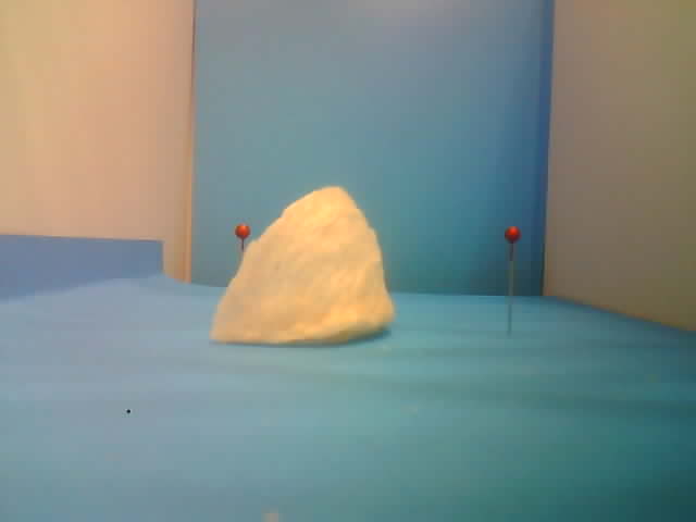 sarang background biru_medium Instance Segmentation Dataset by Tinggi Sarang