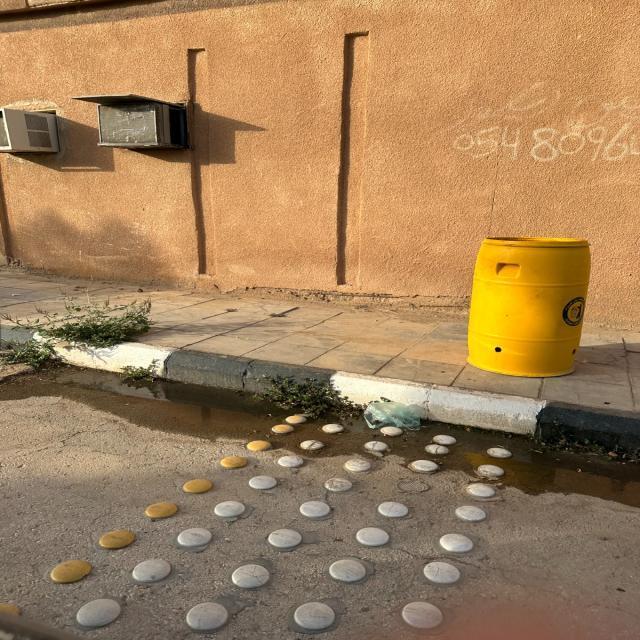 Clean Dataset Object Detection Dataset By Phase2