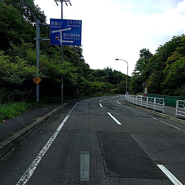 pothole label Object Detection Model by abc