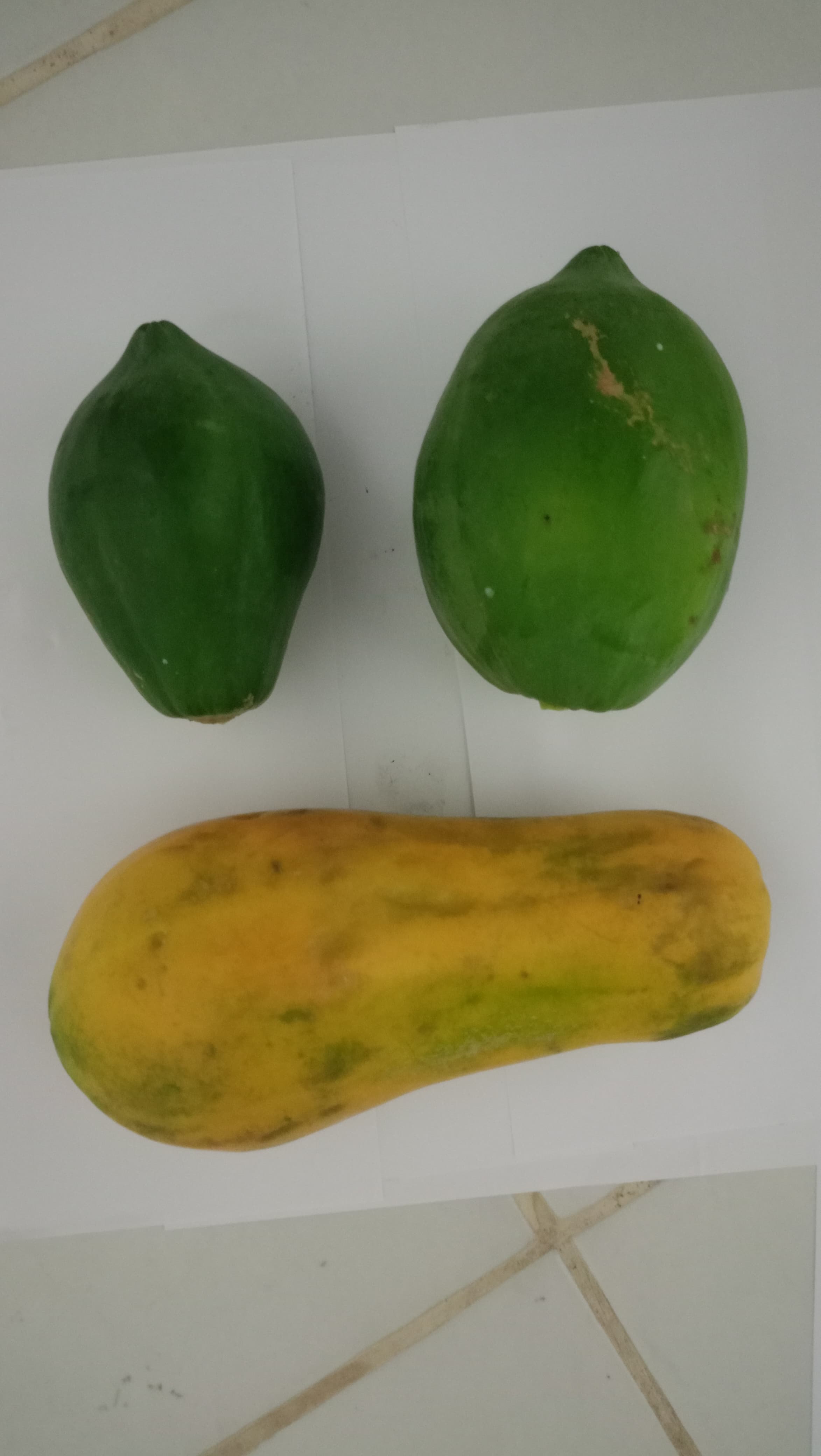 kj projexk Object Detection Dataset by amir