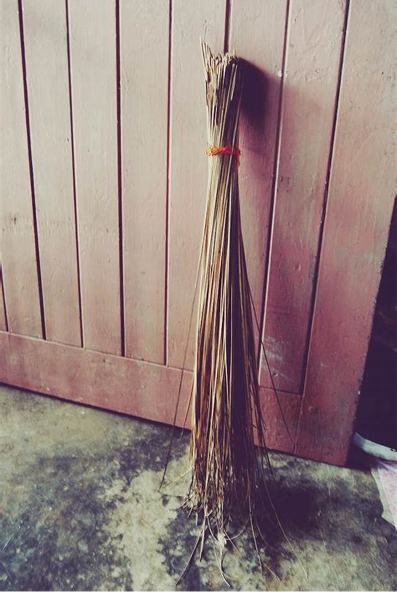 Sapu Lidi Object Detection Dataset and Pre-Trained Model by Computer Vision