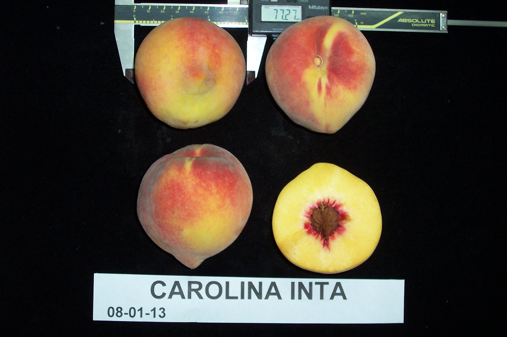 peaches_identification Object Detection Dataset by workspace2025