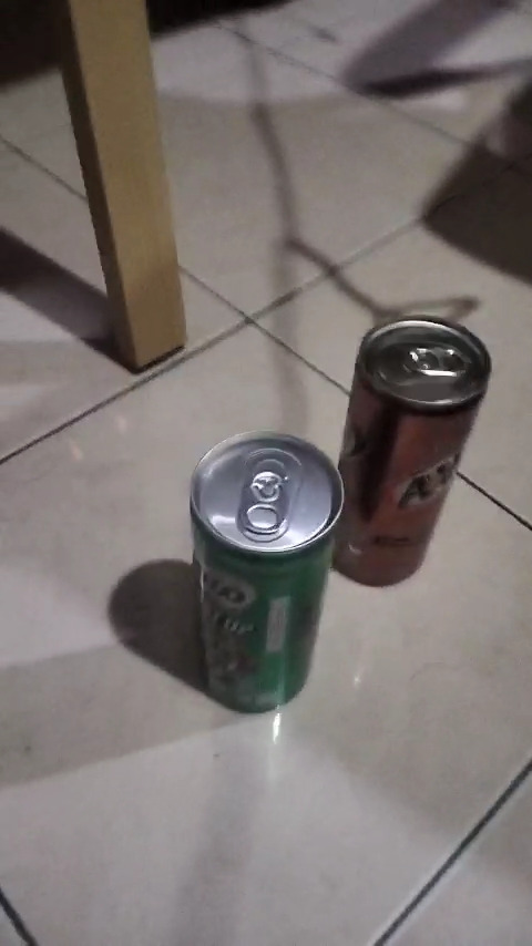 Custom Workflow Object Detection Object Detection Model by cansqc