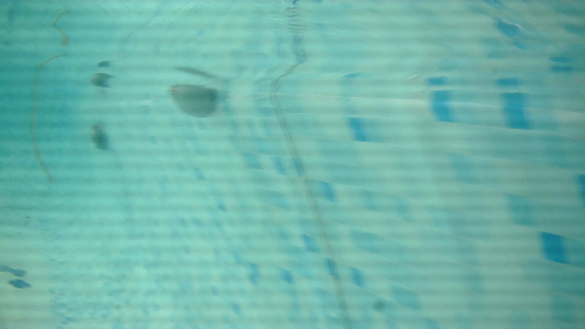 Naval mine Object Detection Dataset by orca