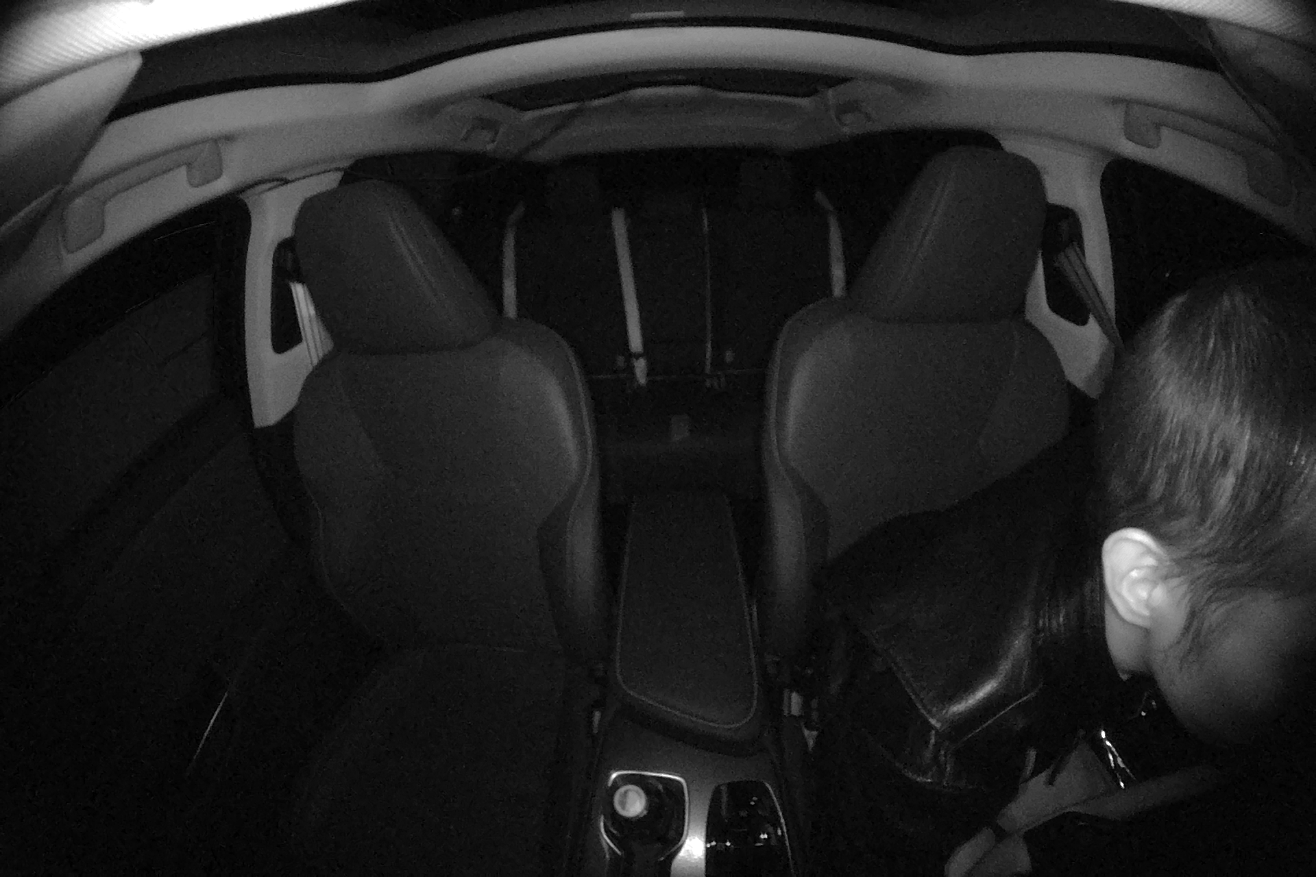 seatbelt segmentation4 Object Detection Dataset by yolov8