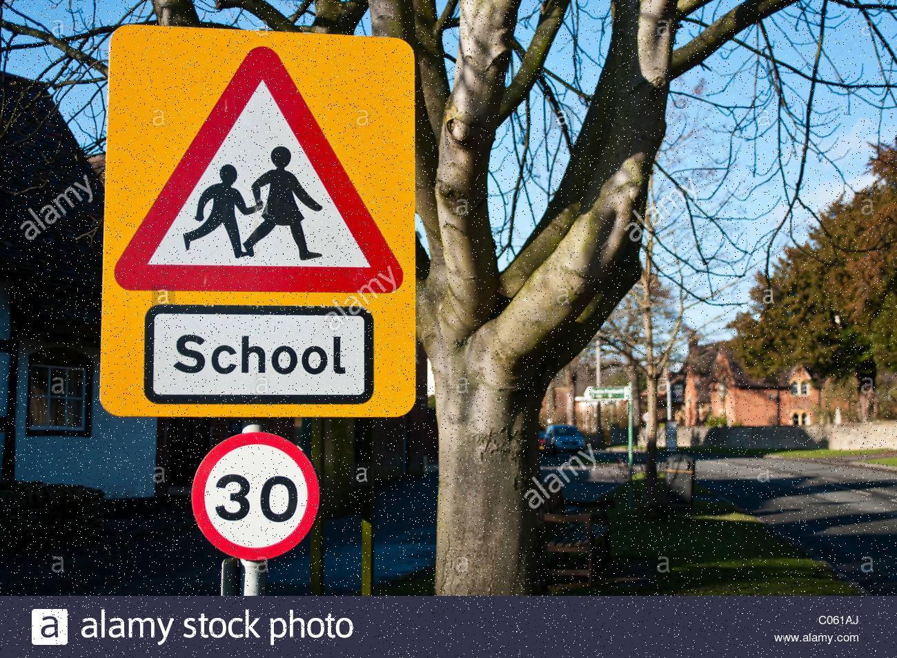 Pp Object Detection Dataset By Project Yckis