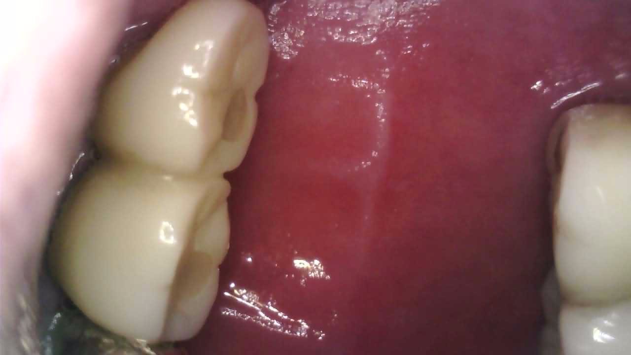 lab (lab-ixjl1) - Roboflow Universe