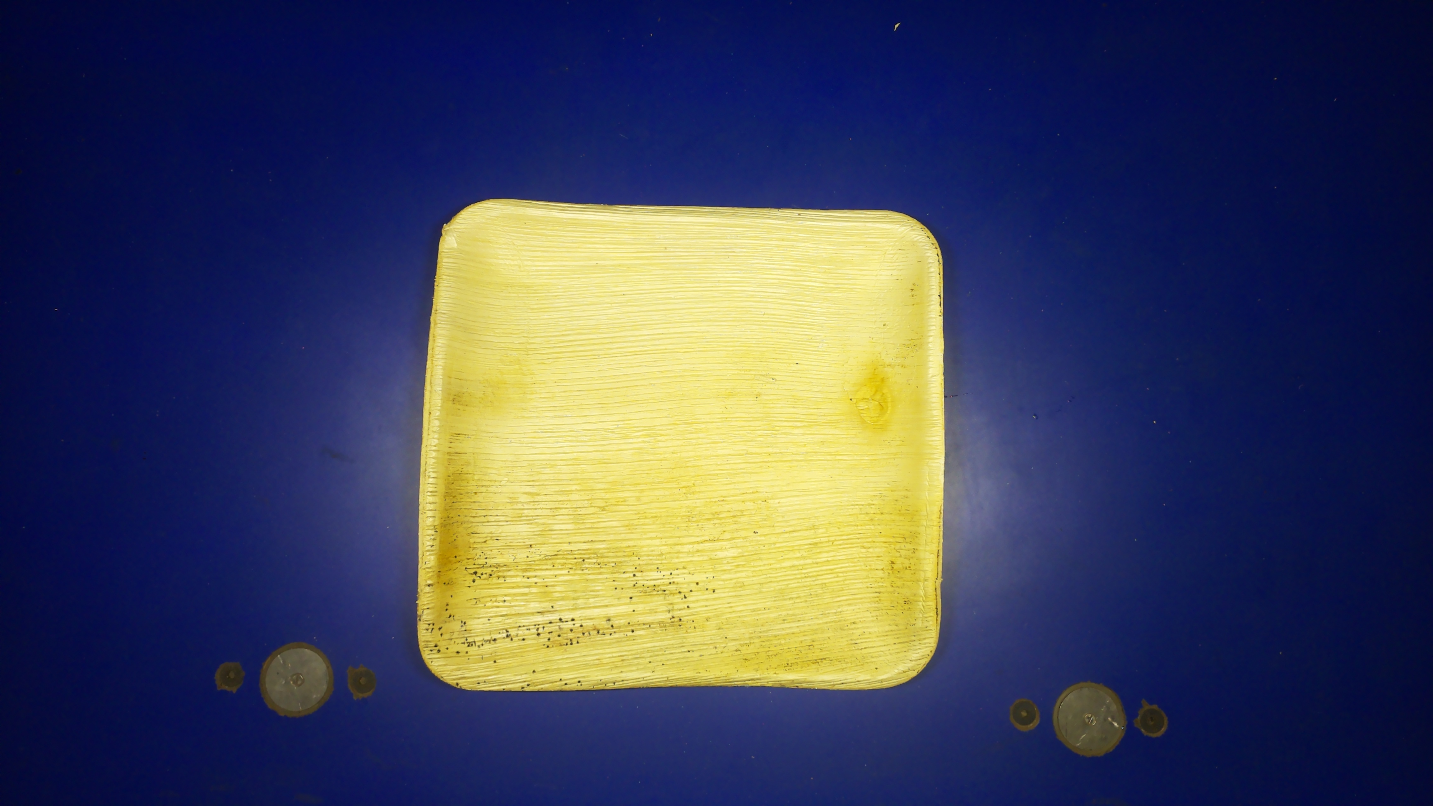 Fungus Detection Object Detection Dataset by Machine learning