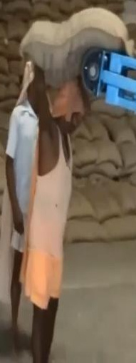 Sack Object Detection Dataset By Slater