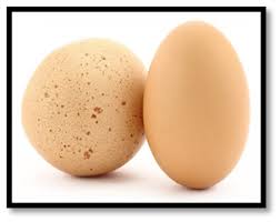 egg Object Detection Dataset and Pre-Trained Model by Janhvi