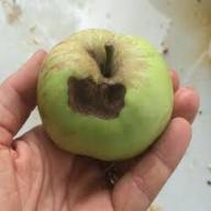 fridge food images Object Detection Model by fridge dataset